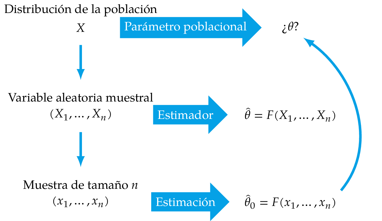 Estimación de parámetros poblacionales
